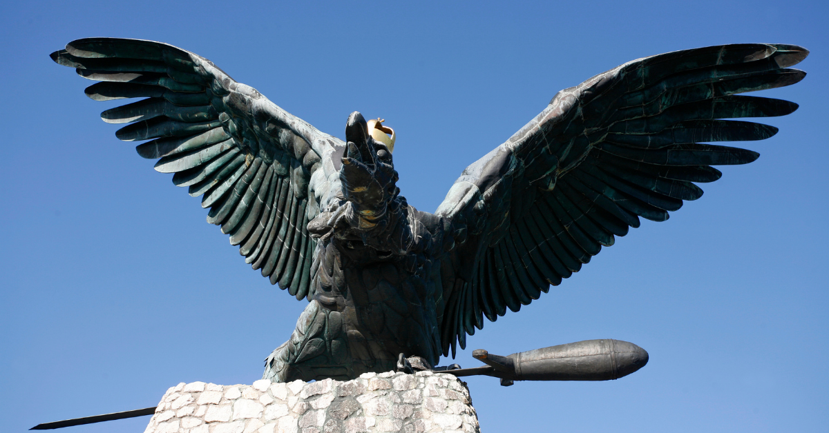 Amit a turulról tényleg tudni érdemes